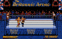 : WWF European Rampage Tour WWF European Rampage Tour - World of Longplays